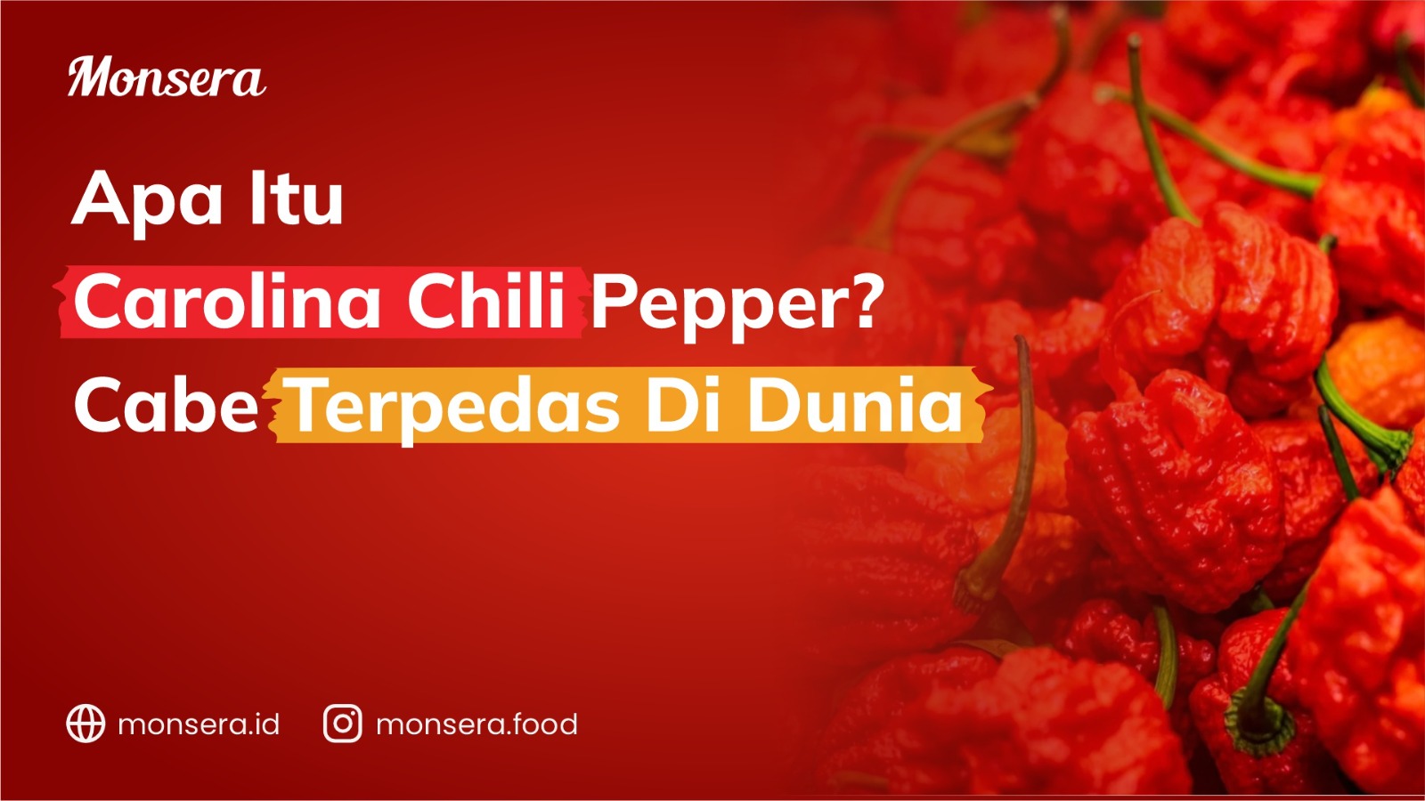 Apa Itu Carolina Chili Pepper? Cabe Terpedas Di Dunia - Monsera