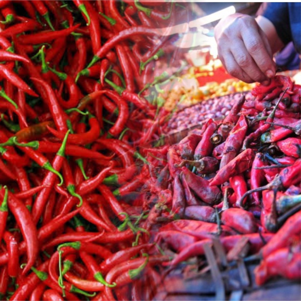 Perbedaan Rasa Sambel Yang Menggunakan Cabe Segar Dan Cabe Busuk - Monsera