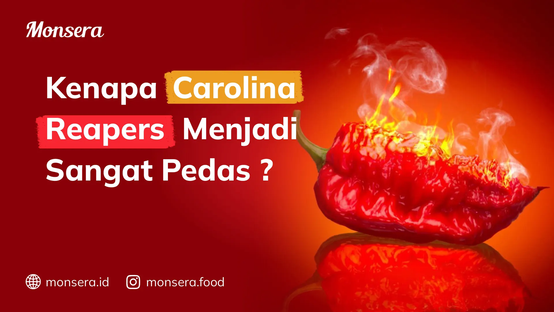 Kenapa Carolina Reaper Menjadi Sangat Pedas? - Monsera