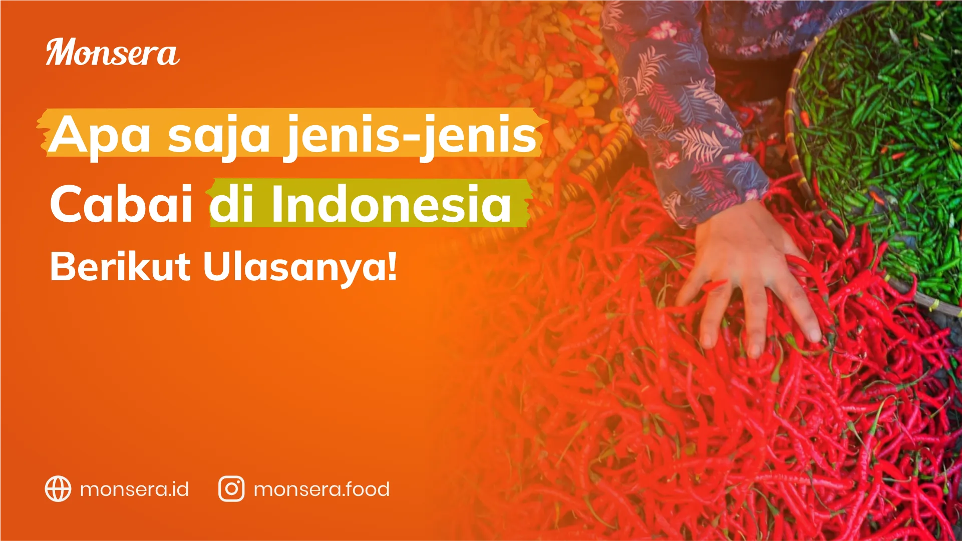Apa Saja Jenis Jenis Cabe Di Indonesia? Berikut Ulasannya - Monsera